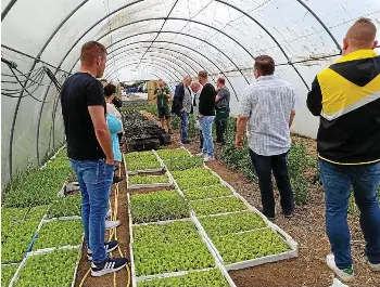 Tipps und Tricks für die Gartensais­on - PressReader