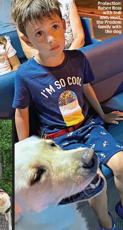 Ruben, who has autism, was anxious and a ‘flight risk’ but Indi ...
