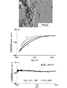 酞菁钴( CoPc)基电极材料在电催化 CO2 还原反应中应用的研究­进展 - PressReader