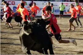 Toritos llegan corneando precios - PressReader