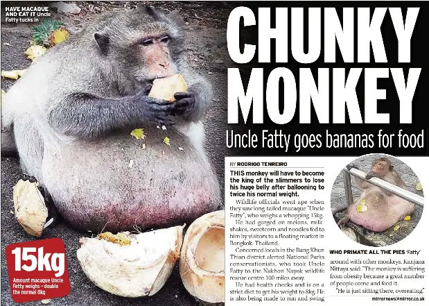 CHUNKY MONKEY - PressReader