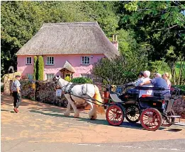 READERS PICTURES - PressReader