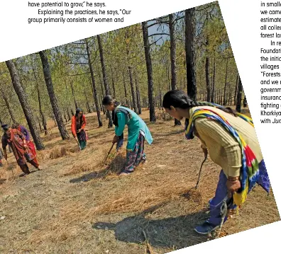 Friends of the forest - PressReader