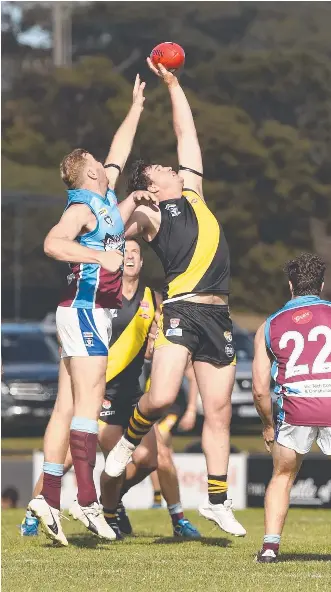 Meesen loses case - PressReader