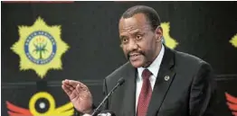 68 statements obtained by the Hawks on Phala Phala Crime fighting ...