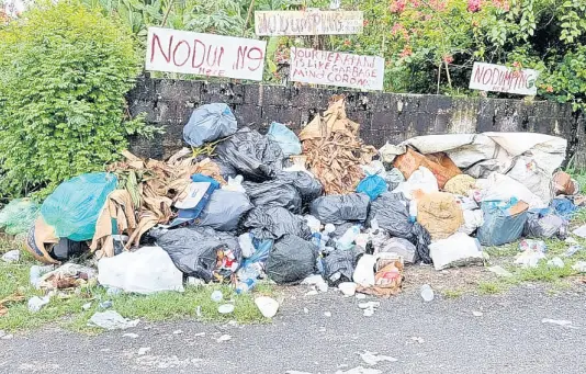 Garbage pile-up breeds mosquito, rodent concerns - PressReader