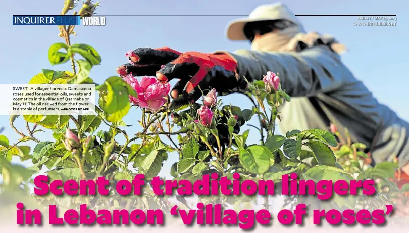 Scent of tradition lingers in Lebanon ‘village of roses’ - PressReader