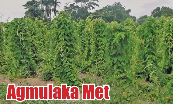 Agmulaka Met iti Kamangeg - PressReader