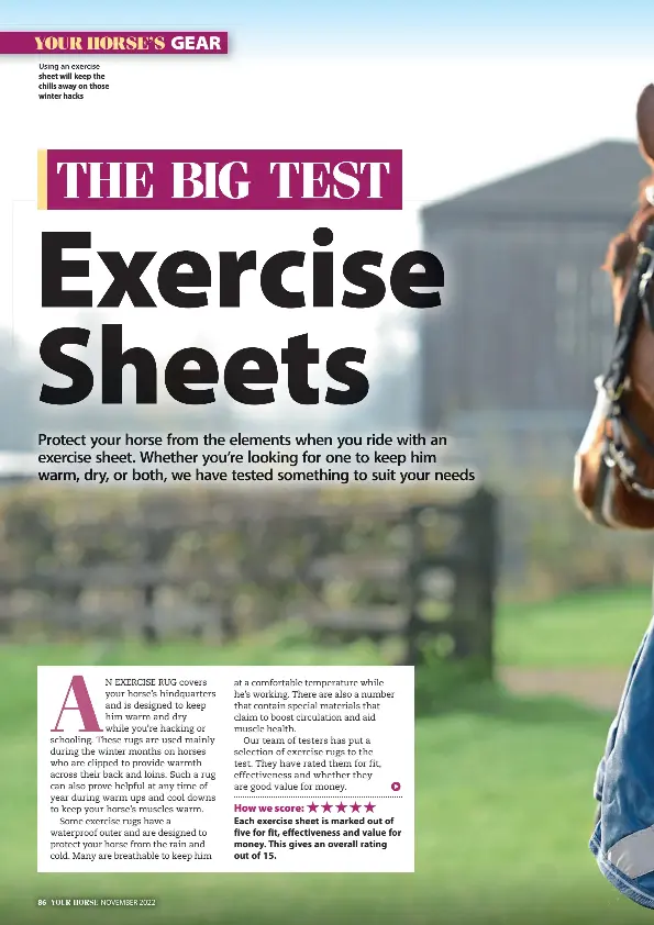 Exercise Sheets - PressReader