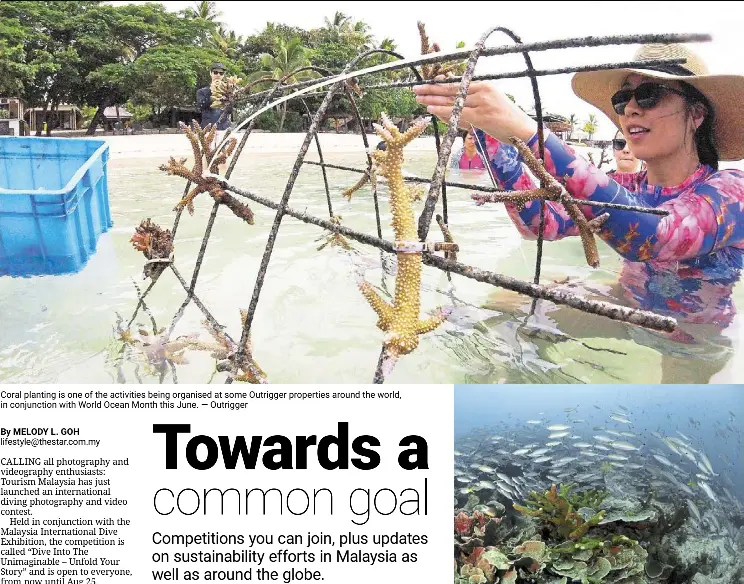 Towards a common goal - PressReader