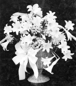 Tiktok powers ‘demure’ to Word of the Year for 2024 - PressReader