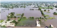 Thousands of fish farms in Punjab devastated due to floods - PressReader