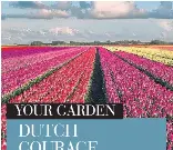 DUTCH COURAGE... - PressReader