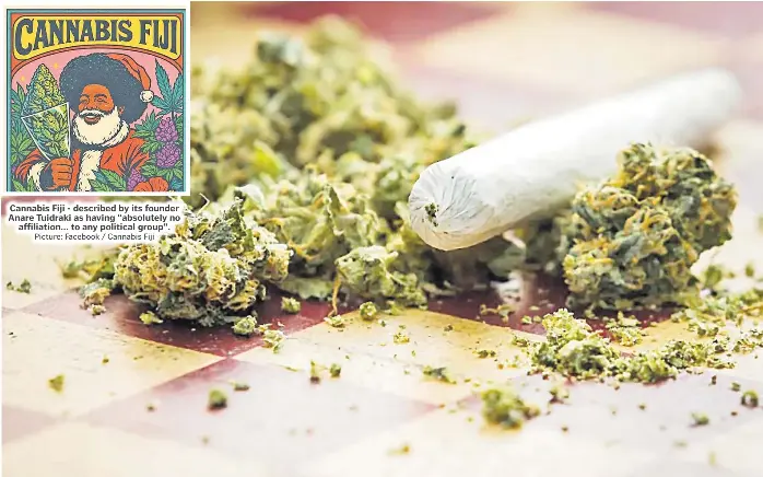 Fringe Fiji cannabis movement - PressReader