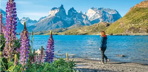 HIKING IN CHILE’S PATAGONIA HAS BECOME A HOT TICKET - PressReader