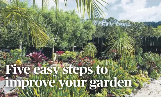 Five easy steps to improve your garden - PressReader
