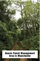 Forests are Vital in Combatting Desertific­ation and Building Drought Resilience|by: The ...