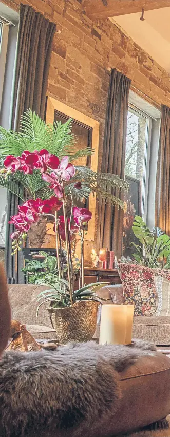 Sofa, so good - PressReader