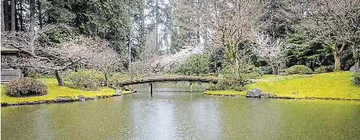 A visit to Nitobe Memorial Garden - PressReader