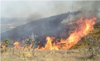 Huambo regista aumento do número de queimadas - PressReader