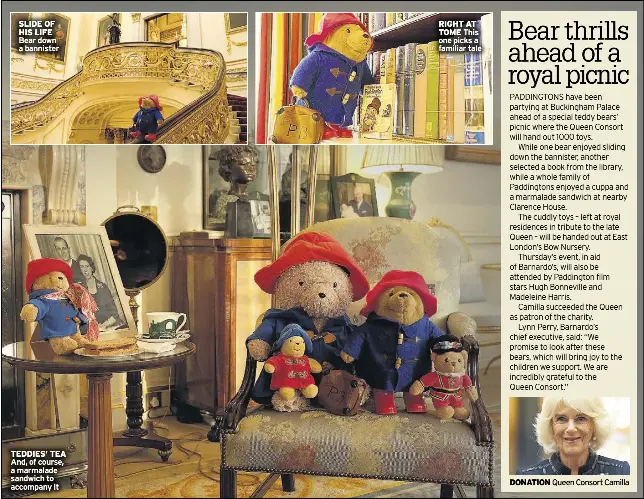 Bear thrills ahead of a royal picnic - PressReader