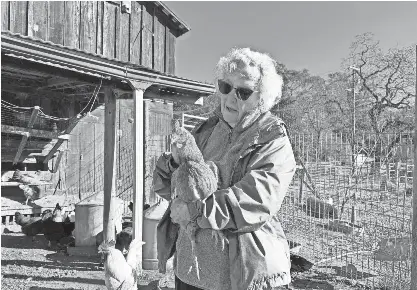 Bird flu is devastatin­g California ‘Egg Basket’ - PressReader