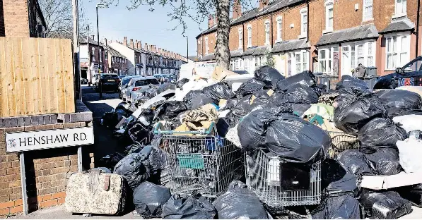 „Die Ratten sind so groß wie Hunde“ - PressReader