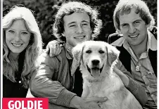 Blue Peter’s latest pup idol…Henry the 10th - PressReader