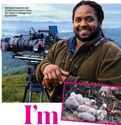 I’m Strictly birds for the - PressReader