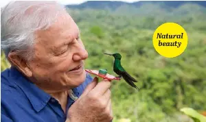 LIFE IN COLOUR WITH DAVID ATTENBOROU­GH - PressReader