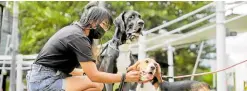 THE BIGGEST PET ‘PAWTY’ OF THE SUMMER - PressReader