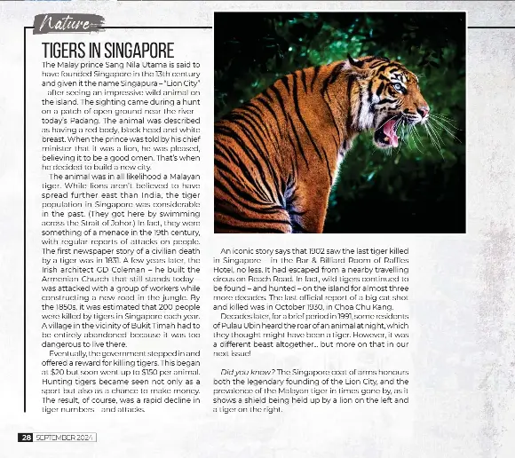 TIGERS IN SINGAPORE - PressReader