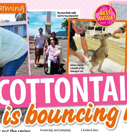 COTTONTAIL is bouncing back - PressReader