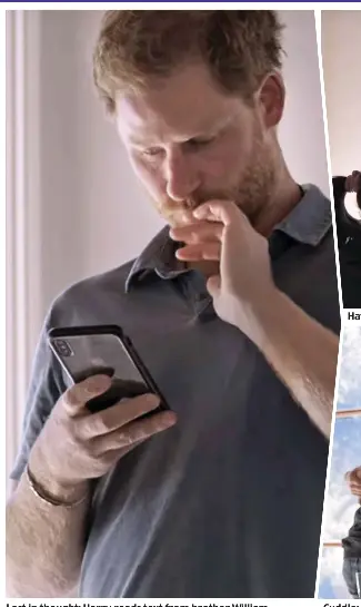 So what DID William text Harry after Oprah? - PressReader