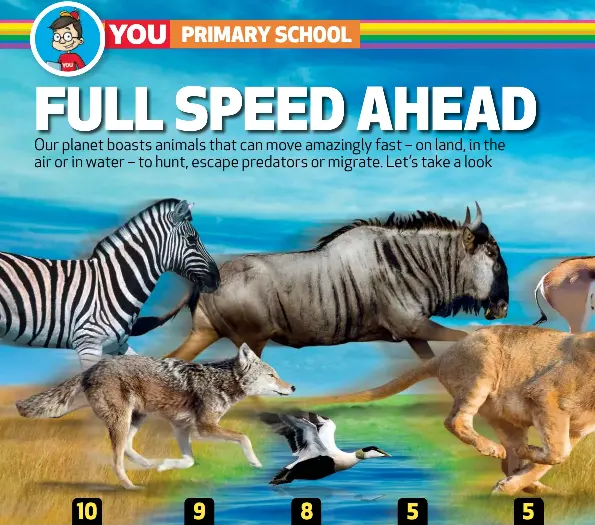 Top 10 speedy creatures - PressReader