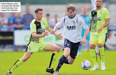 New Seasiders prove good fit - PressReader