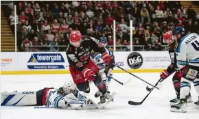 Nomads Adders make it home sweet home - PressReader