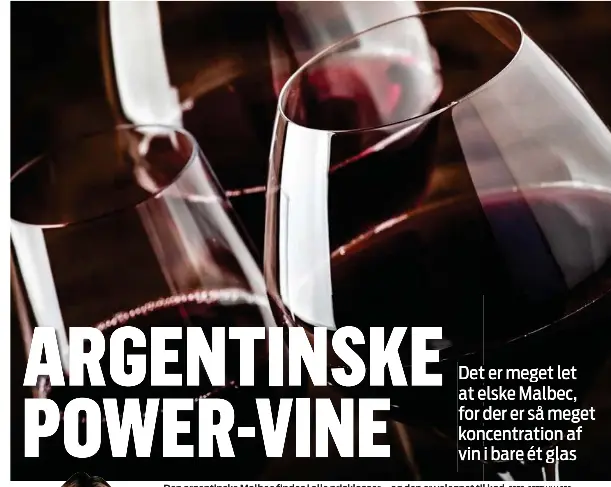 ARGENTINSK­E POWER-VINE - PressReader
