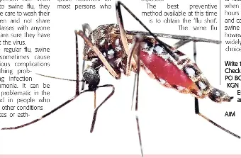 Mistaking swine flu for ZIKV - PressReader