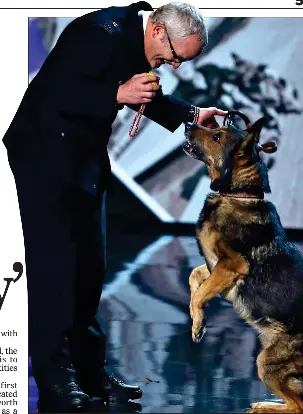 BGT alsatian’s police handler has dogs taken away ‘in illicit breeding inquiry’ - PressReader