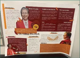 Finding Hope and Inspiratio­n in Stories of Indigenous Women’s Resilience - PressReader