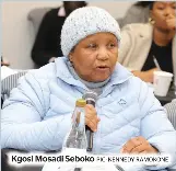 Kgosi Mosadi Seboko set for return to Pan African Parliament - PressReader