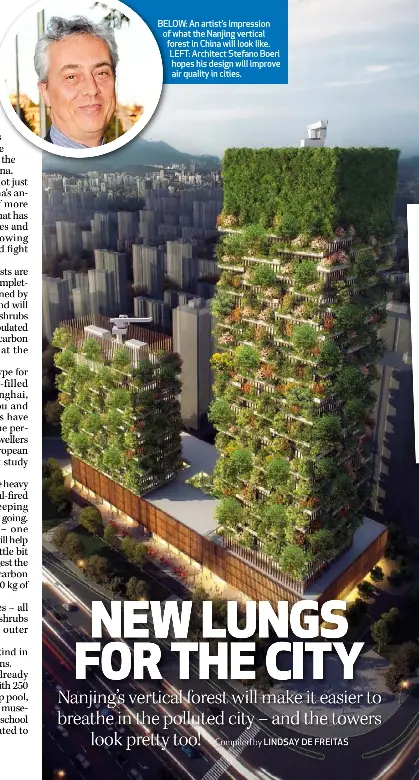 China’s urban vertical forest - PressReader