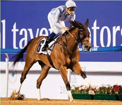 Made In Dubai to get bettors off to good start at Jebel Ali - PressReader