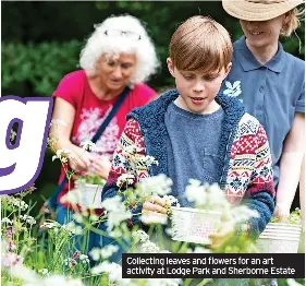 Ready to spring - PressReader