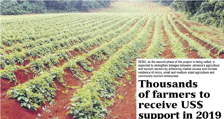 Thousands of farmers to receive US$ support in 2019 - PressReader