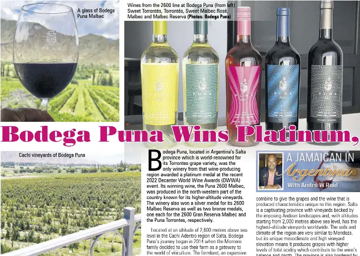 Bodega Puna Wins Platinum, - PressReader
