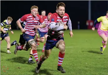 Anderson try late on seals share of points - PressReader