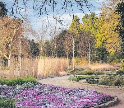 Wakehurst’s winter garden - PressReader