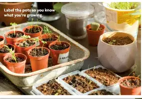 Get growing - PressReader